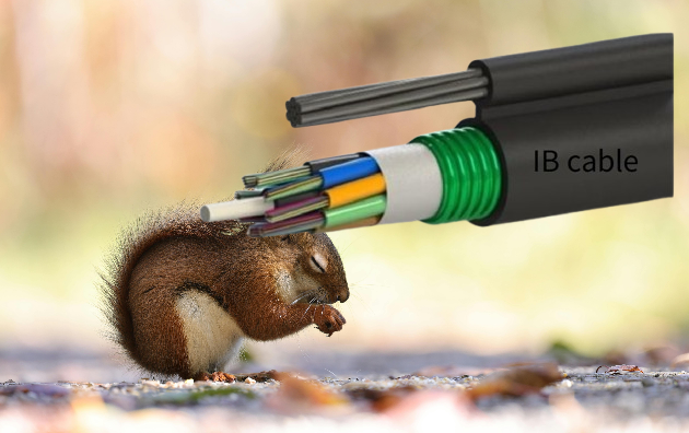 IB Aerial Armored Fiber Optic Cable 12-48core loose tube Singlemode ...